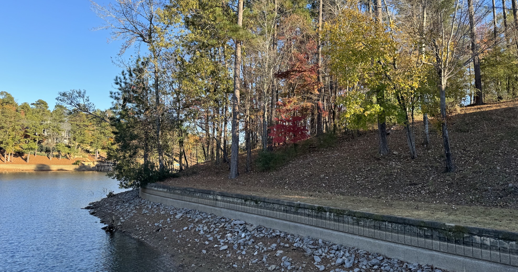 Real Estate on Lake Martin in Fall and Winter - Lake Martin Voice ...